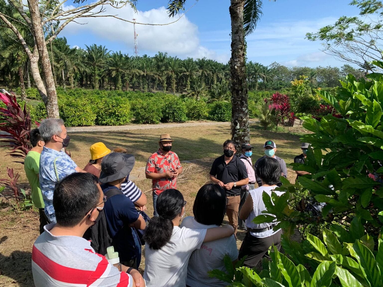 Farm Visit - MY LIBERICA Coffee